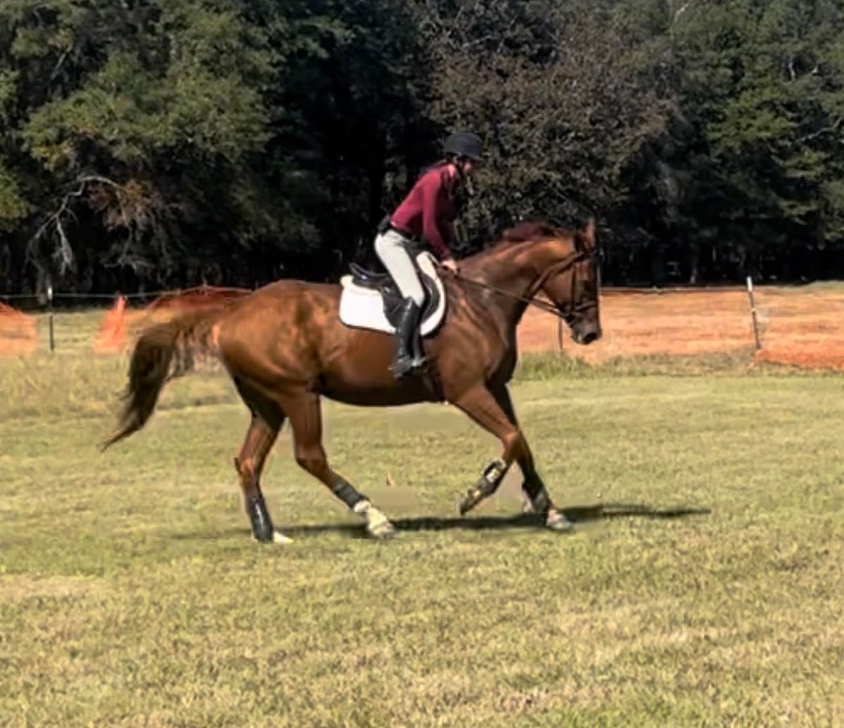 Full Gallop Farm