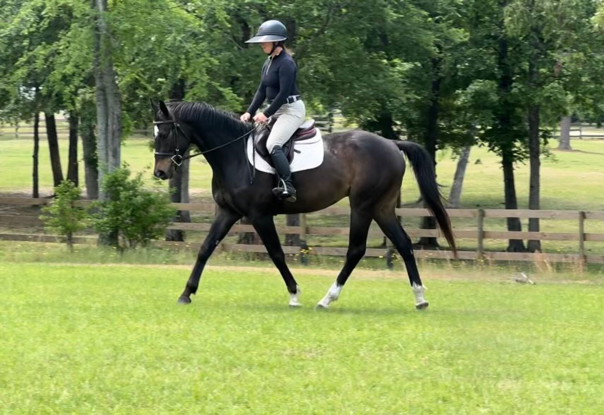 Full Gallop Farm