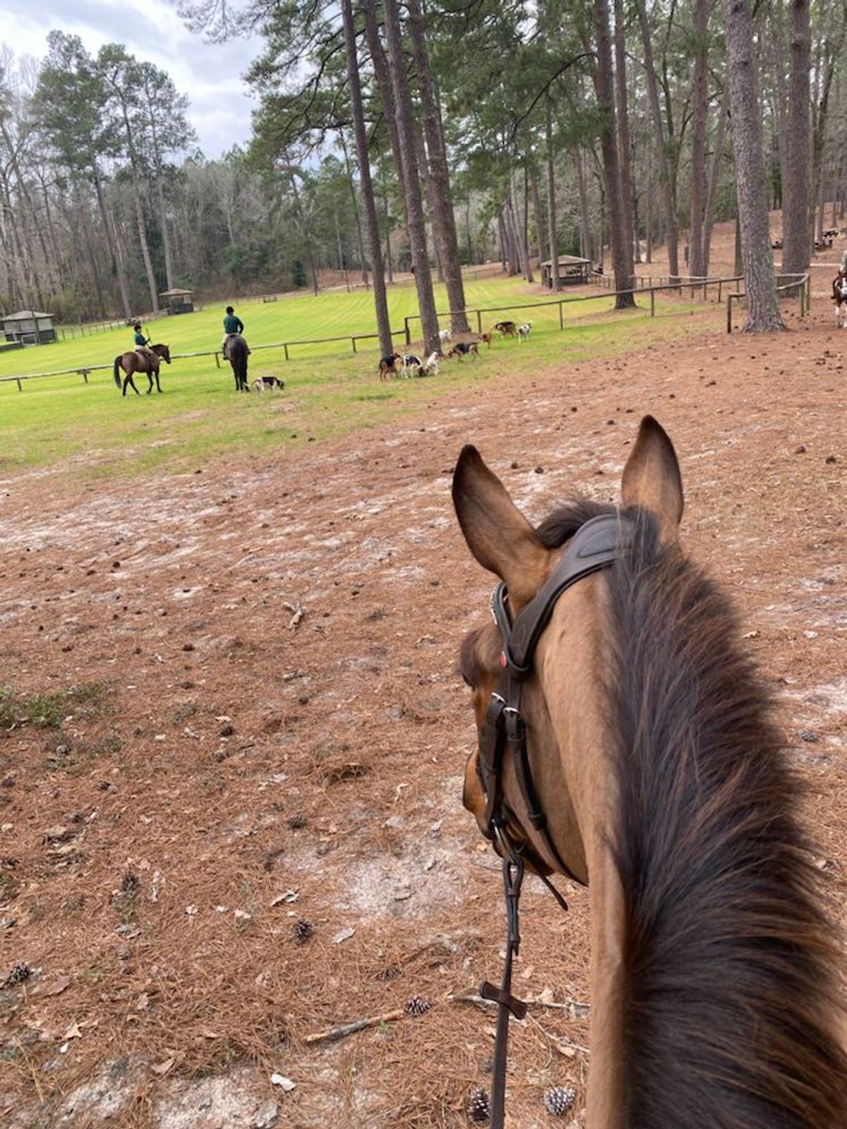 Full Gallop Farm