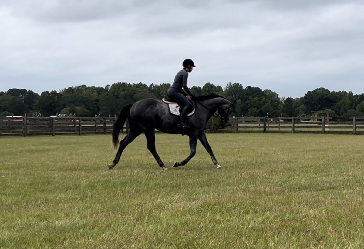 Full Gallop Farm