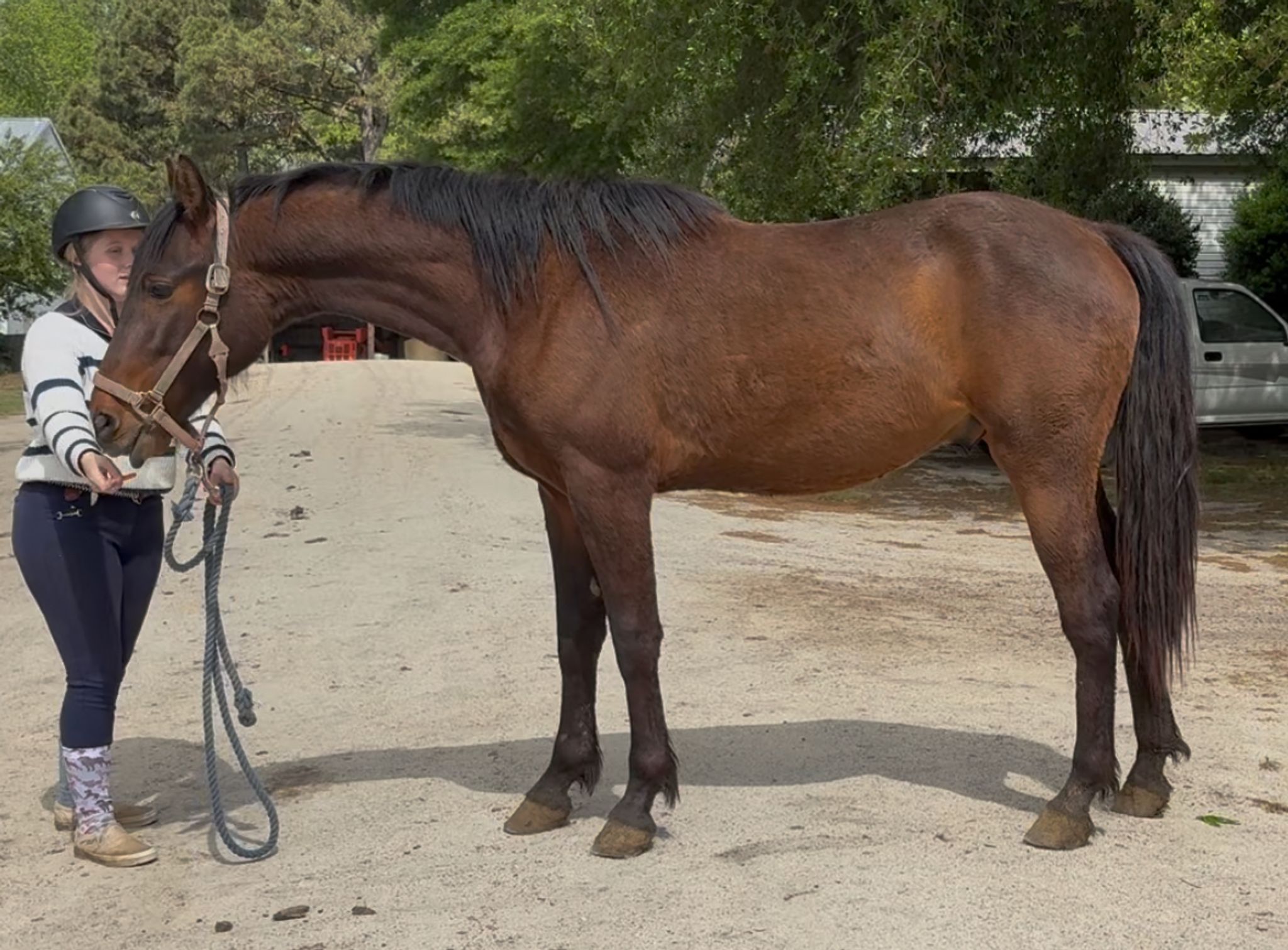 Full Gallop Farm