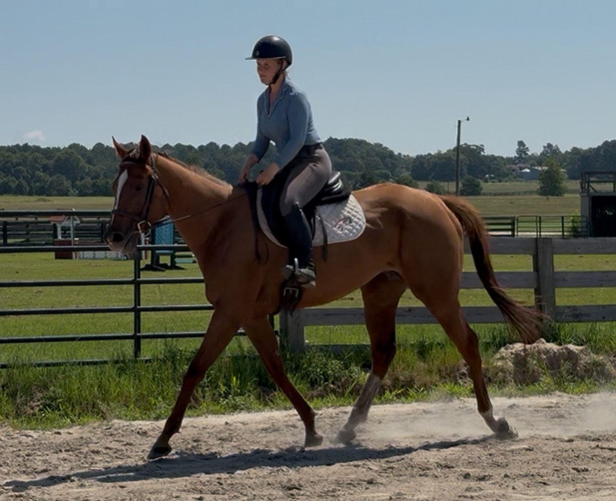 Full Gallop Farm