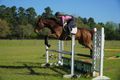 Full Gallop Farm