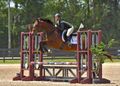 Full Gallop Farm
