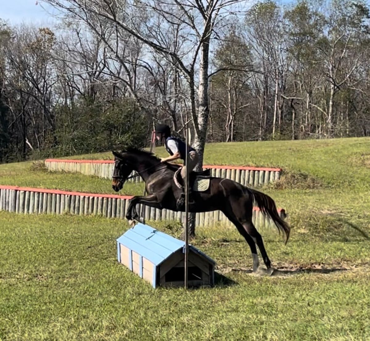 Full Gallop Farm